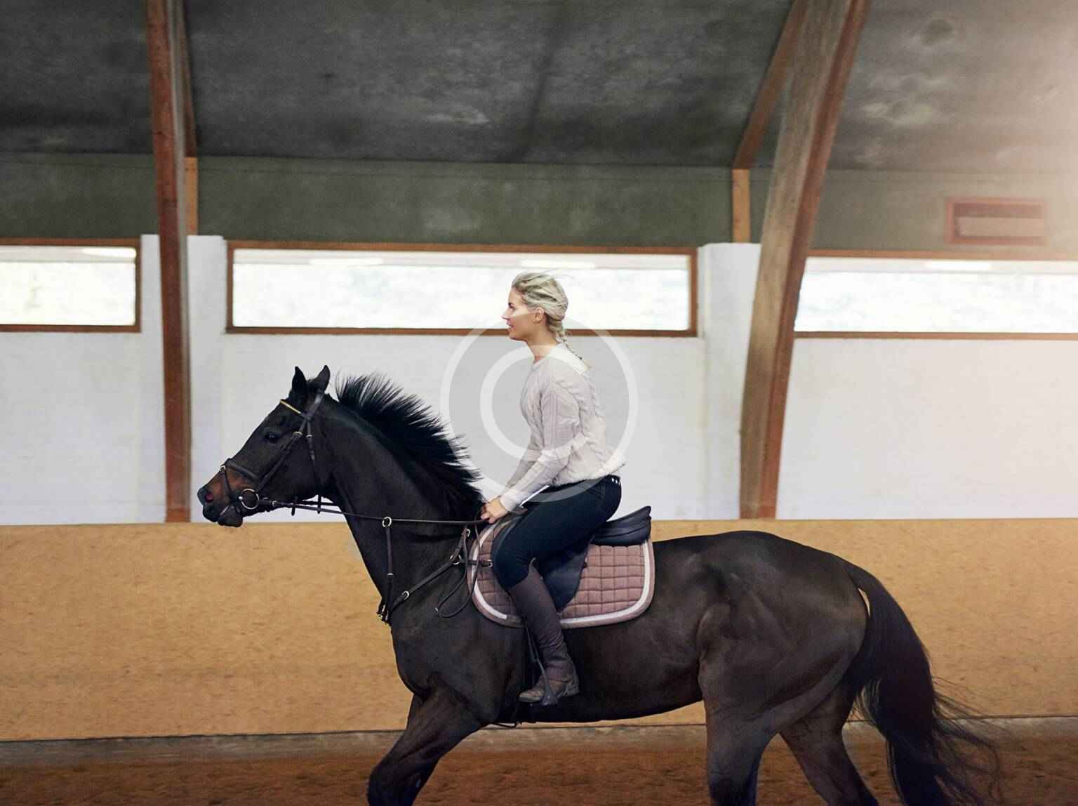 Horse Boarding – City Ranch