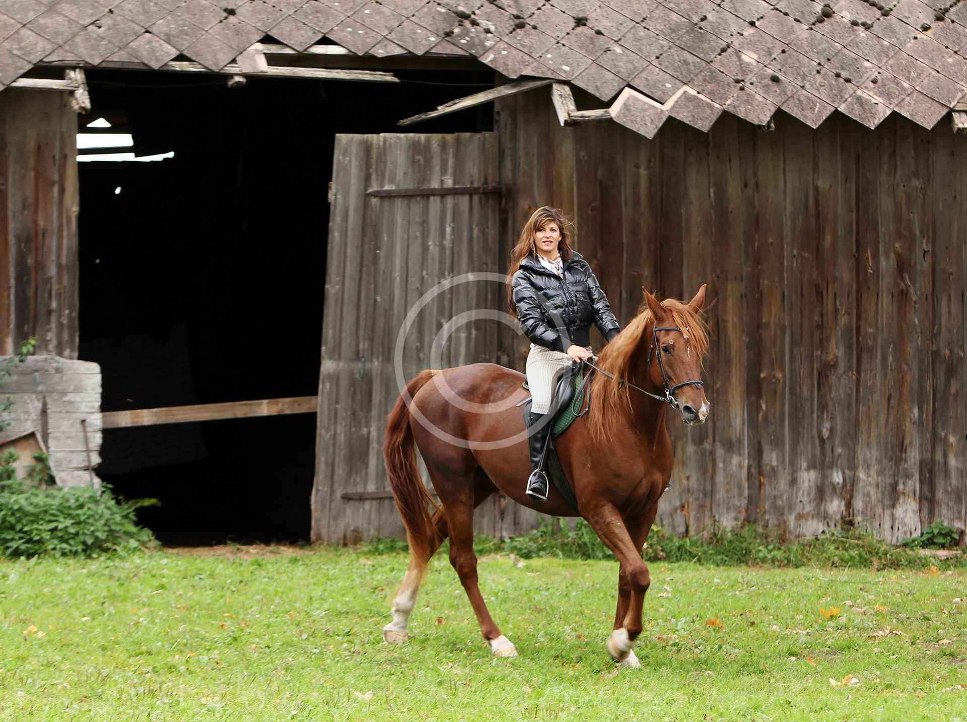 How to choose the right line for the training program – City Ranch