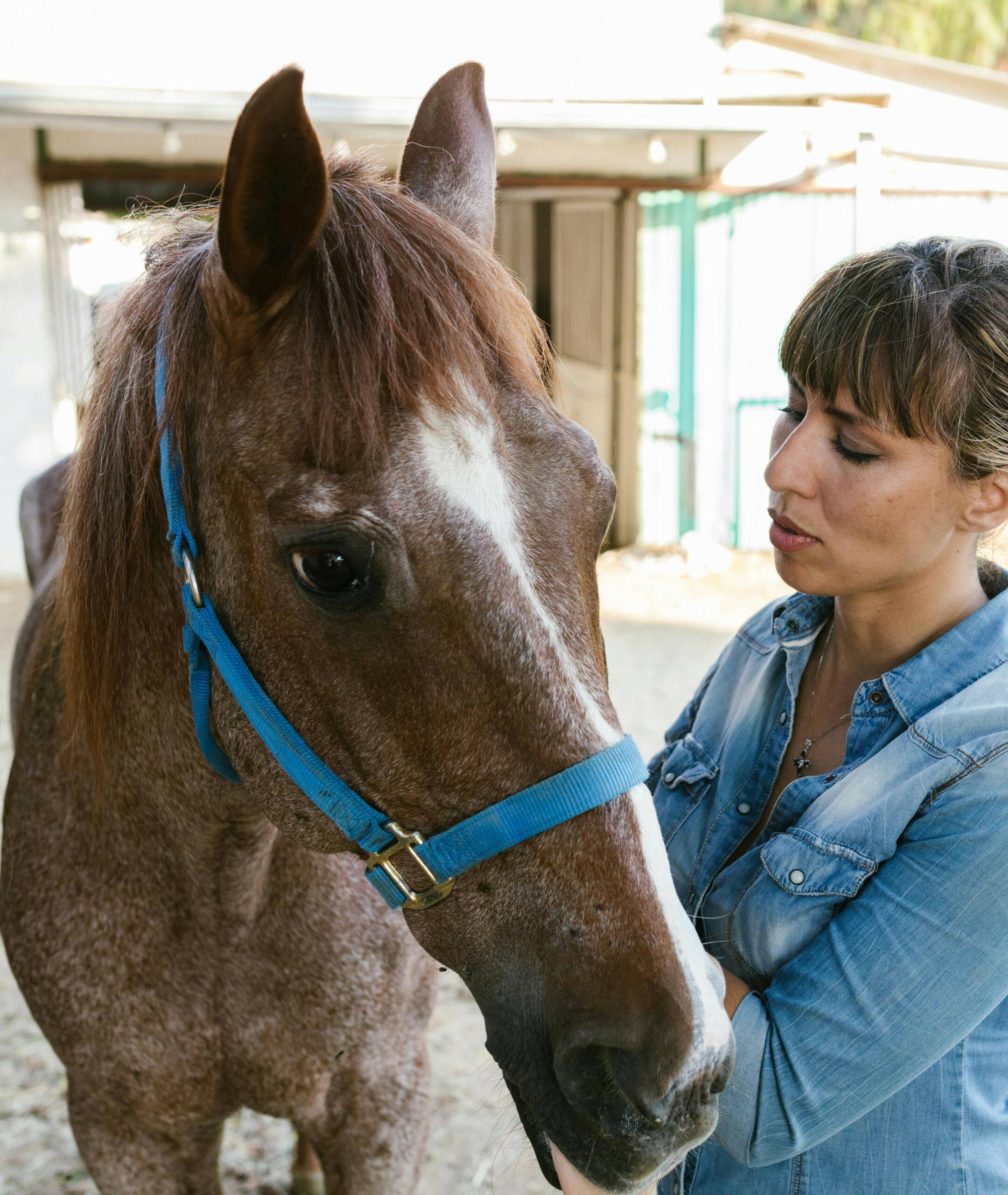 Jenny Sanders – City Ranch